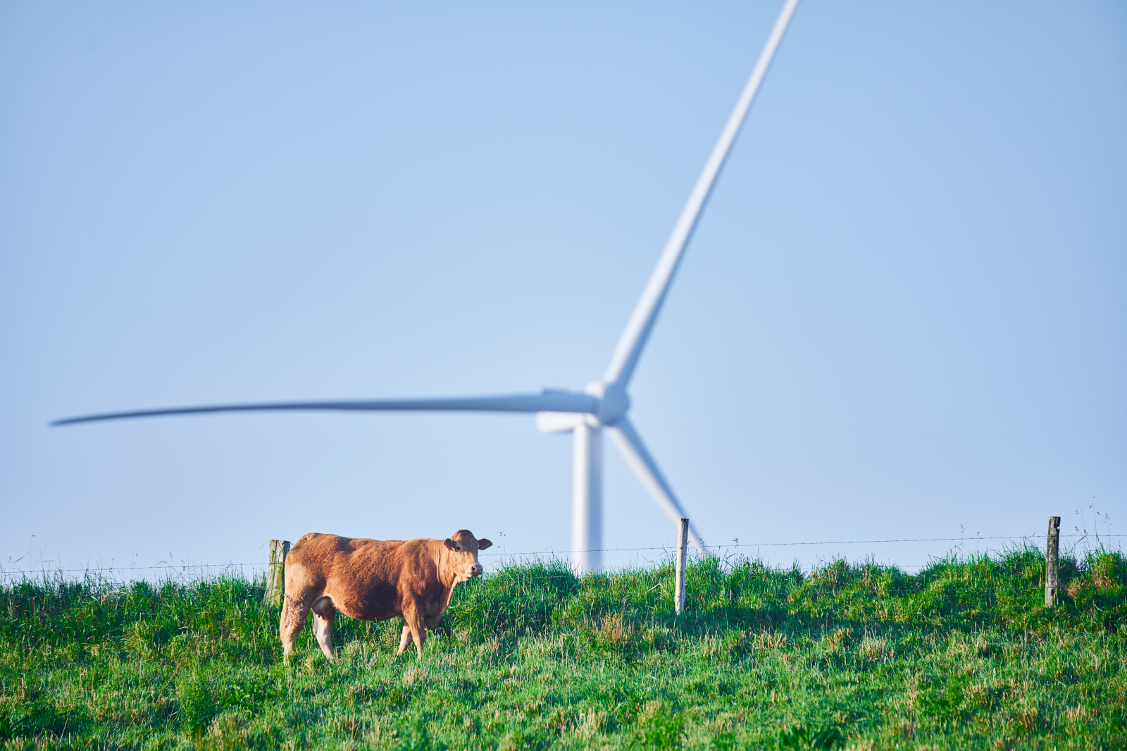 RWE et Sanofi signent un contrat d’approvisionnement sur 20 ans en ... RWE et Sanofi signent un contrat d’approvisionnement sur 20 ans en ...